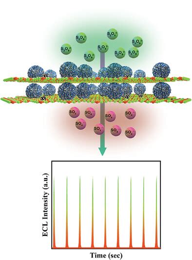 Electrochemiluminescence Enhancement And Passivation Mitigation In Carbon Nitride Semiconductors