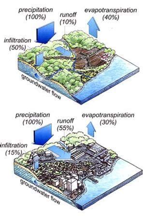 Natural And Urban Stormwater Water Cycles Lesson Teachengineering
