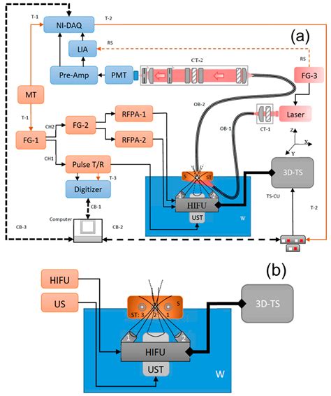 Ijms Free Full Text A Dual Modality System For Both Multi Color Ultrasound Switchable