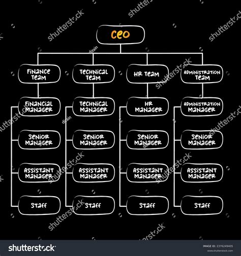 Organizational Chart Types Stock Vectors And Vector Art Shutterstock