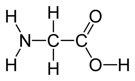 Which Of The Following Amino Acids Is Neutralaaspartic Acidbglycinec