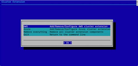 Cluster Extension Configuration — Nvidia Dgx Basepod Multi Cloud
