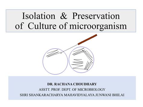 Isolation And Identification Of Microorganism Pptx