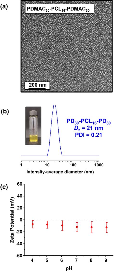 Efficient Synthesis Of Hydrolytically Degradable Block Copolymer Nanoparticles Via Reverse