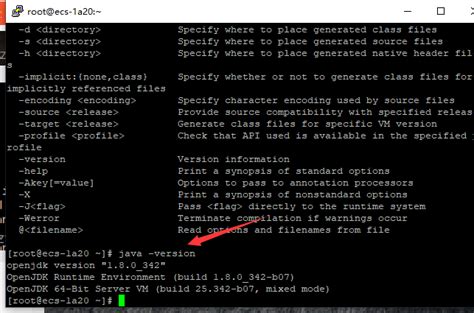 Linux搭建java项目运行环境 服务器 嘉 澍 博客园