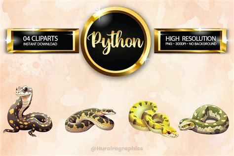 Python Clipart 03 Variations