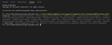 Browser Closed Unexpectedly Error · Issue 9 · Evmer Perlego Downloader · Github