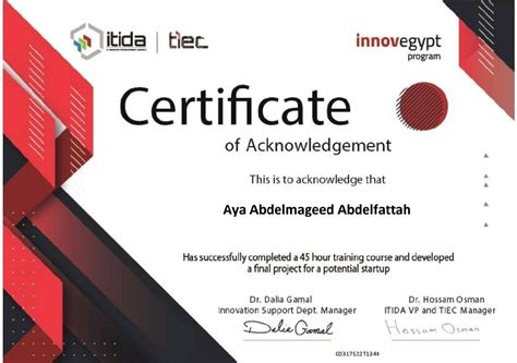 aya abdelmageed on linkedin it was a great experience thanks a lot
