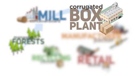 Video Packaging Corporation Of America On Linkedin The Life Cycle Of