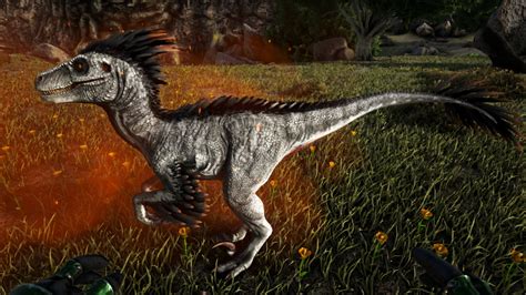 Ark Alpha Raptor Guide Paleo Ark Expansion Official Guide Kuir