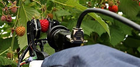 first raspberry picking robot goes through its paces electronics weekly