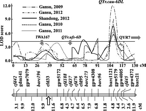 A Qtl With Major Effect On Reducing Stripe Rust Severity Detected From A Chinese Wheat Landrace
