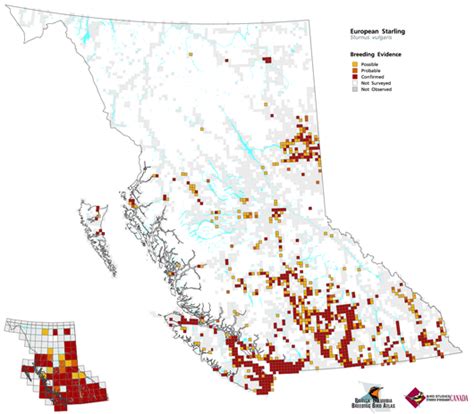 European Starling Map