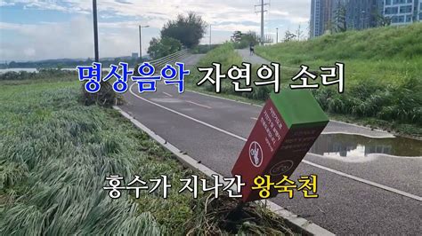 명상음악 자연의 소리 왕숙천 Youtube
