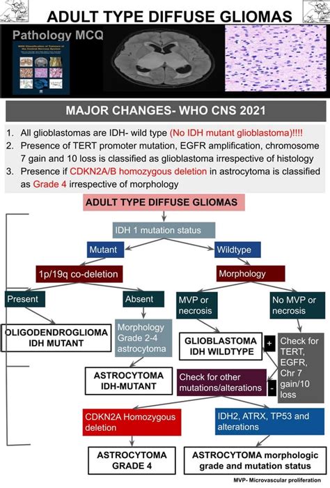diagnostic algorithm for astrocytomas based on who 2021 5th edition of