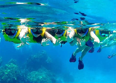 Playa Del Carmen Snorkeling Tours Book Today From 59
