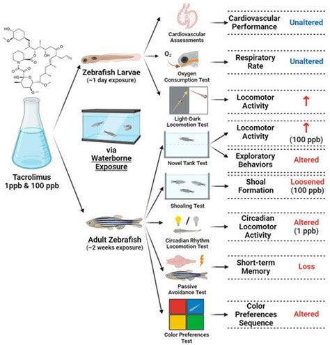 Biology Mdpi On Linkedin Latestpaper Openaccess Article Callforreading