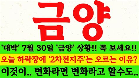 금양 대박 7월 30일 금양 상황 꼭 보세요 오늘 하락장에 2차전지주는 오르는 이유 이것이 변화라면 변화라고 할수도 박부장 Youtube