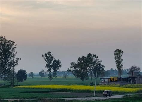 Complete Village Tour Heart Of Punjab