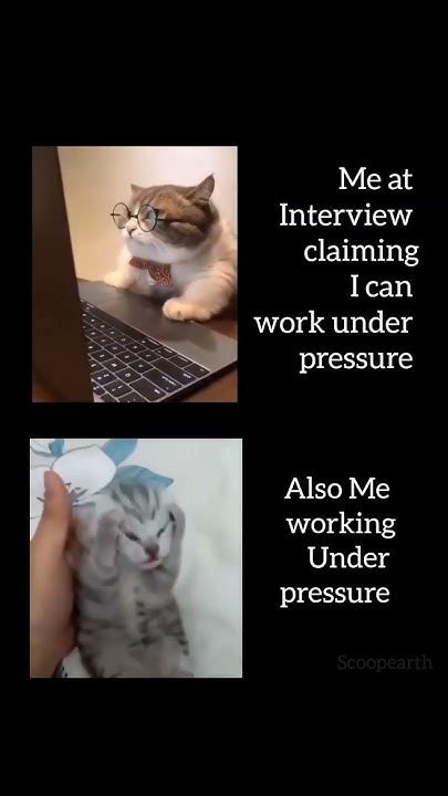 Interview Codingtips Codinglife Comedyvideo Software Funnyvideo Work Youtube