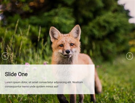 100 Projects Challenge