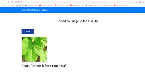 Github Kashinbrijkhajuriacottonplantdiseasedetectionusingconvolutionalneuralnetwork