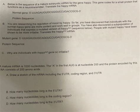 Solved A Below Is The Sequence Of A Mature Eukaryotic MRNA Chegg