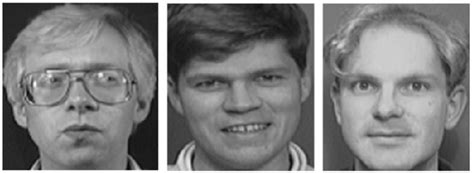 Figure 1 From Automatic Face Recognition System Based On Data