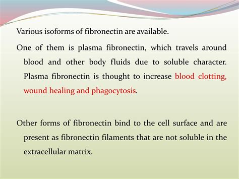 Extracellular Matrİx Ecm Cell Interactions Ppt Download