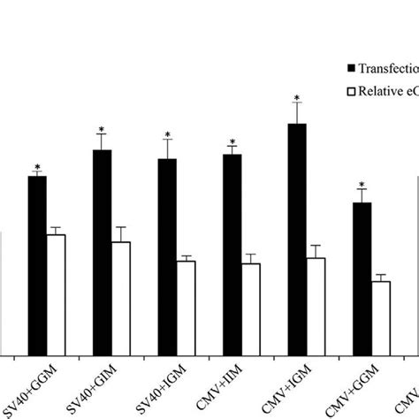 Transfection Efficiency And Recombinant Protein Transient Expression Of
