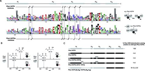 A Sequence Logos For Trans At Pks Acp Domains From Different