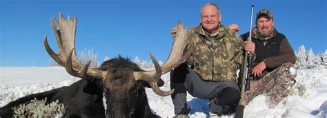 Shiras Moose Hunting Wyoming Wyoming Moose Hunting Outfitters Unit 1
