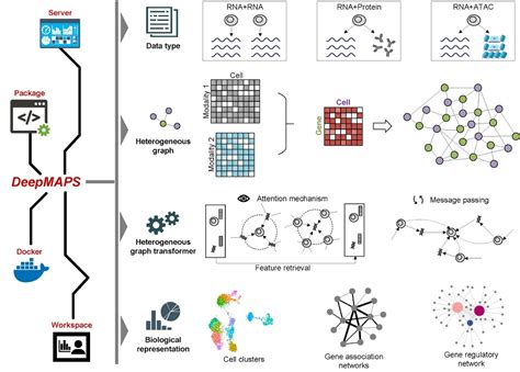 Single Cell Biological Network Inference Using A Heterogeneous Graph Transformer Research