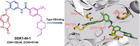 Discovery Of A Potent And Selective Ddr1 Receptor Tyrosine Kinase