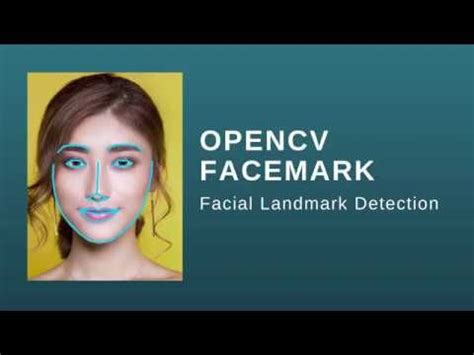 気づいたらOpenCVにFace Alignment 顔のランドマーク検出 のためのFacemarkというAPIが実装されている Learn OpenCV情報 実装はGSOC