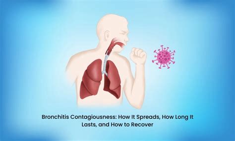 Bronchitis Contagious Duration Risk And Recovery Tips