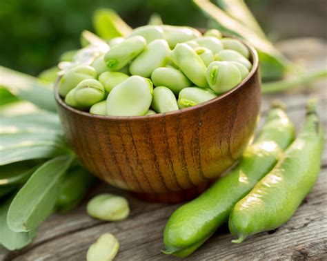 How To Grow Broad Beans Yates