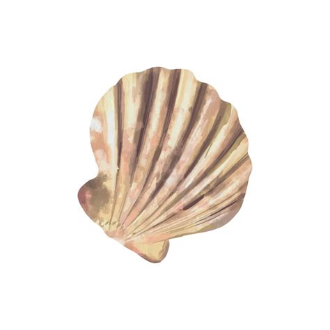 무료로 다운로드 가능한 조개 Png 벡터 And 일러스트