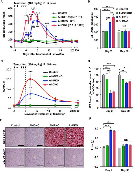 Adipocyte Dynamics And Reversible Metabolic Syndrome In Mice With An