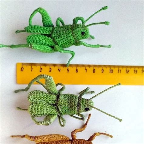 Best 12 Grasshopper Crochet Pattern Toy Crochet Pattern Brooch Pattern Amigurumi Pattern