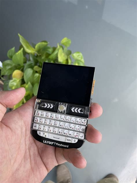 Lilygo T Deck All Living Things