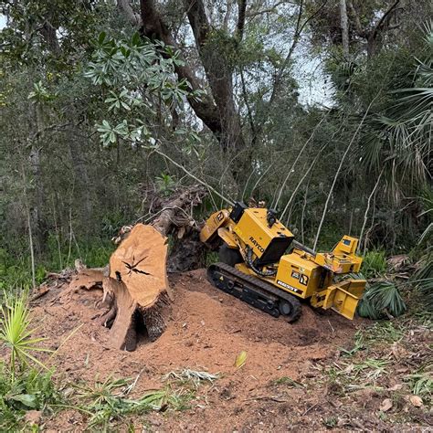 J And S Performance Horses Limited Openings In Our 2019 Riding Program