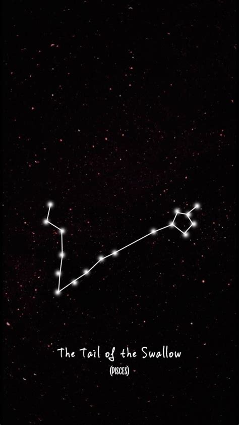 물고기자리 별자리 물고기자리 운세 Hd 전화 배경 화면 Pxfuel