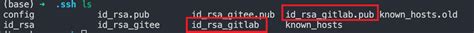 How To Use Gitlab 摸鱼的llunch