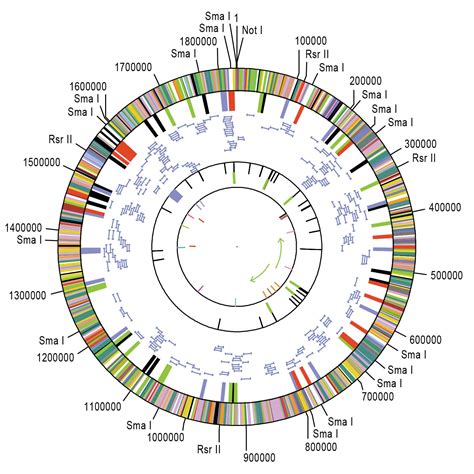 About J Craig Venter Institute J Craig Venter Institute