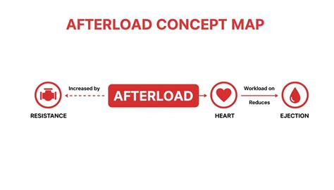 What Is Preload And Afterload Explained For The Usmle