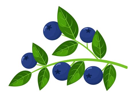 Cartoon Blueberry Bush