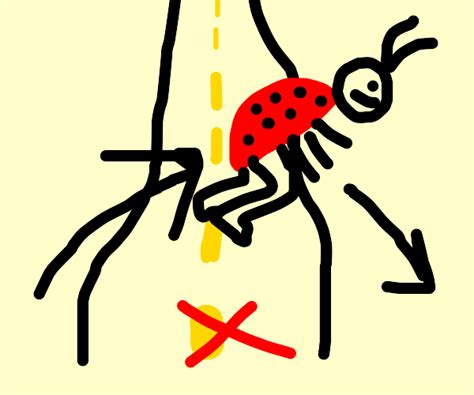 Ladybug Jumping Over The Road Drawception