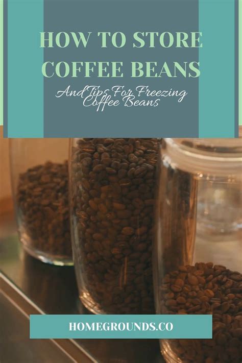 9 Best Ways To Store Coffee Beans In The Freezer Ruaue