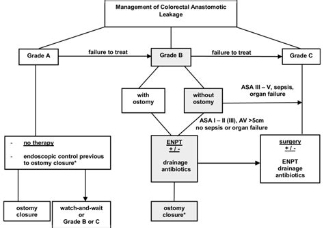 Proposal Of A Management Algorithm Of Colorectal Anastomotic Leakage Download Scientific